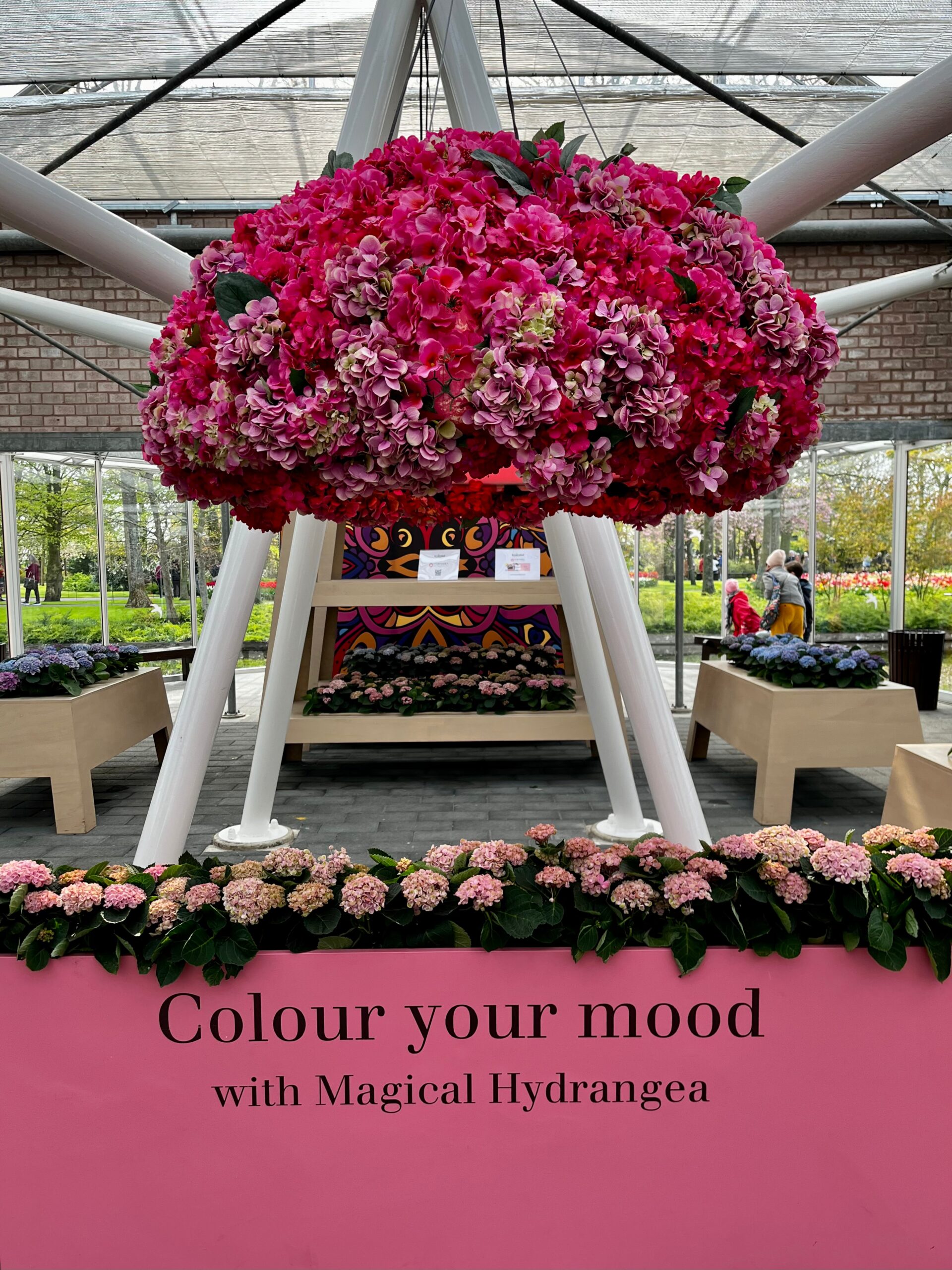 A Complete Guide to Visiting the Beautiful Keukenhof Gardens 2026